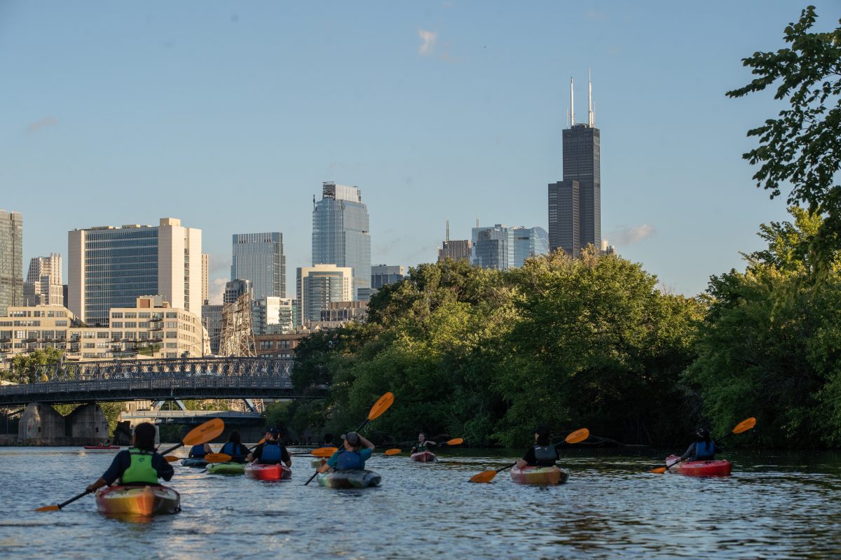 Postdoc Opportunities Board UW Madison